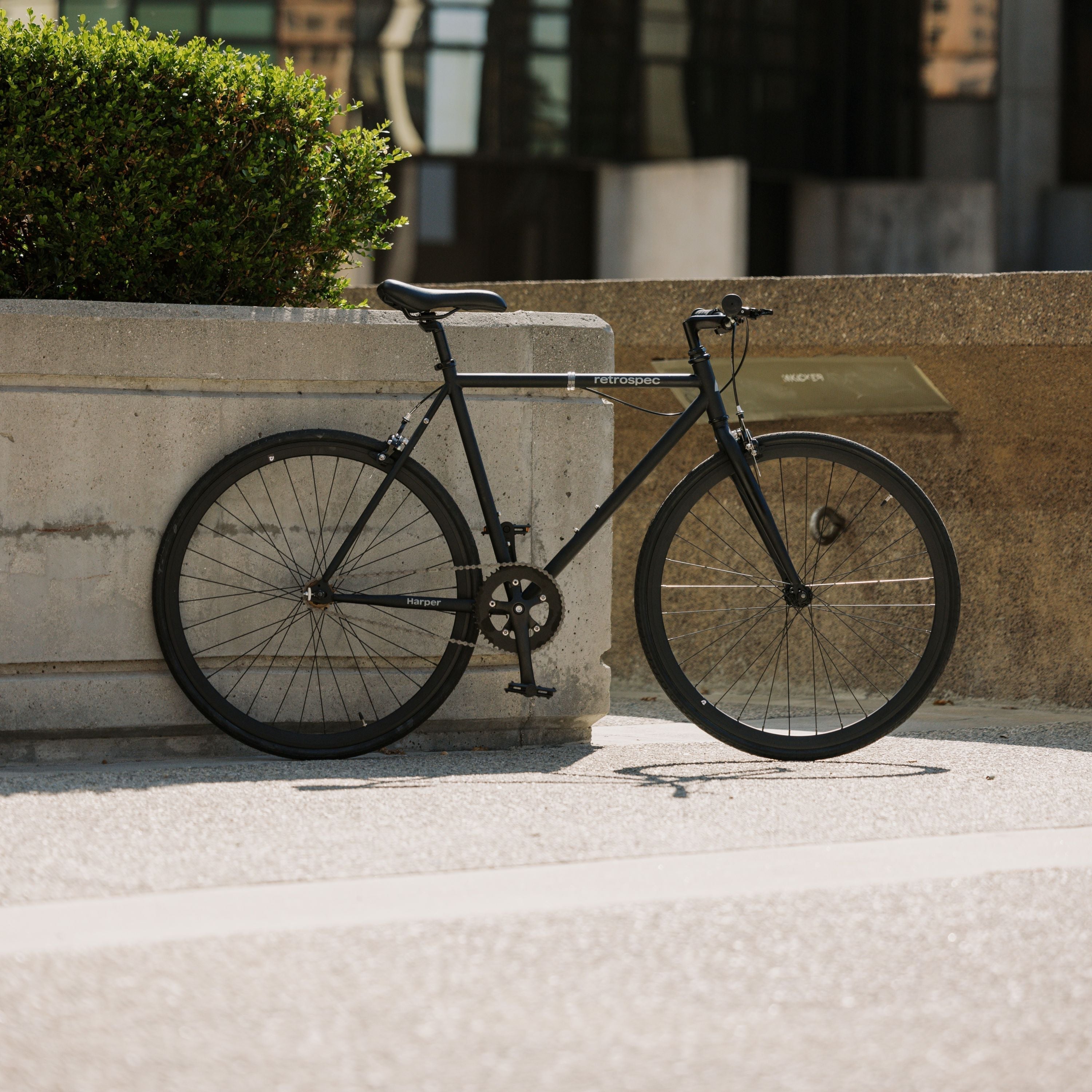 Fixed Gear Bikes vs. Single Speed: What’s the Difference? | retrospec